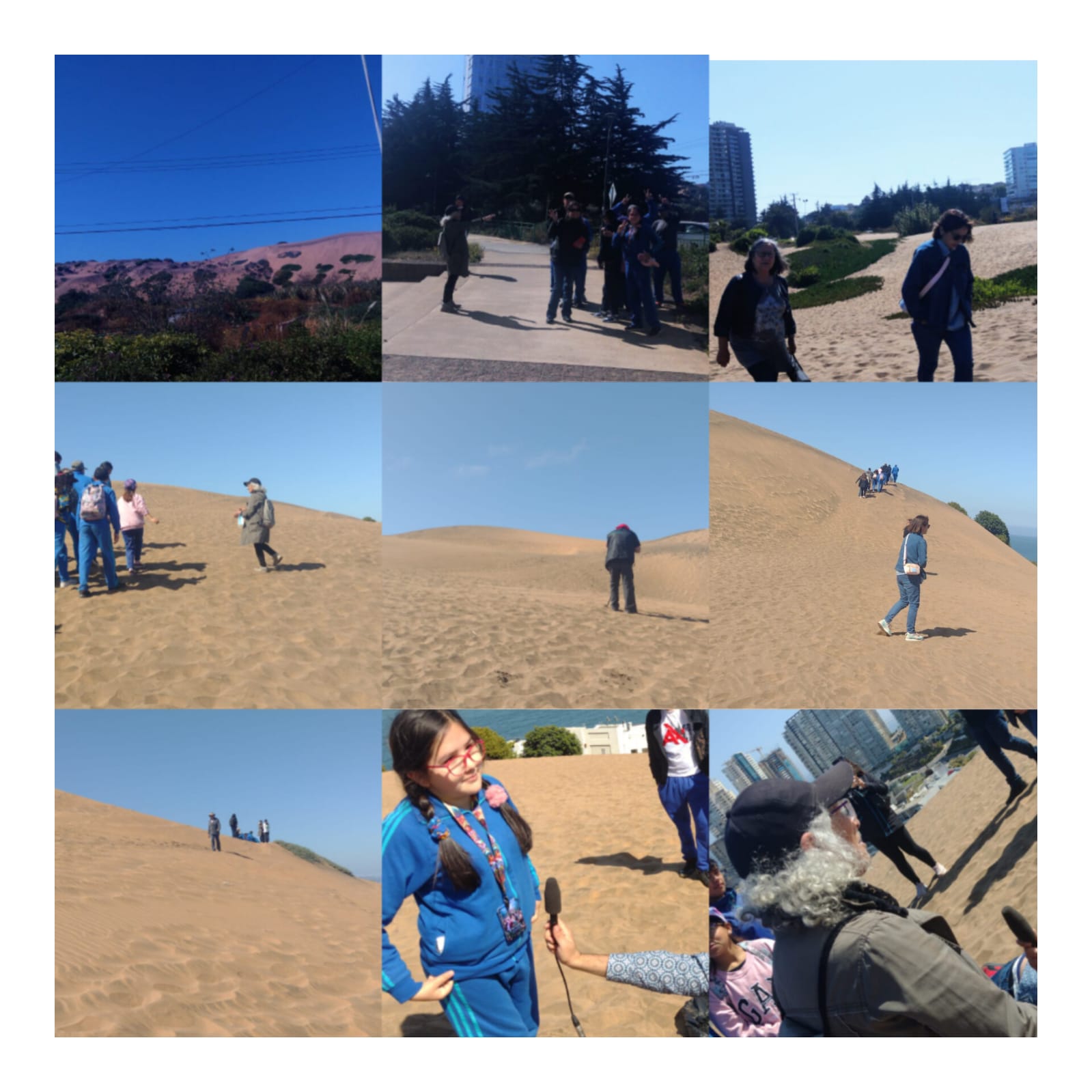 Visita al Campo Dunar de Concón. - Corporación Pro Defensa del Patrimonio